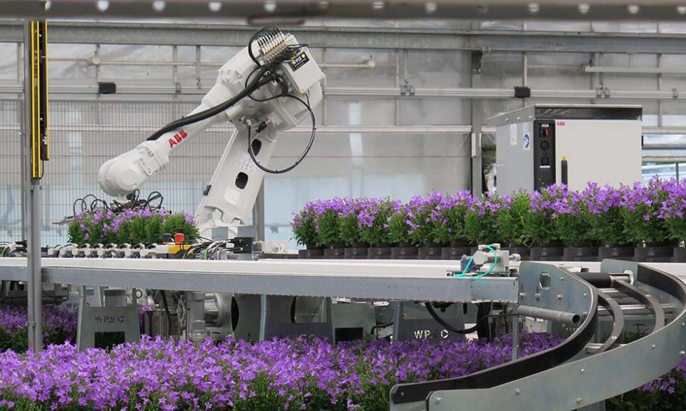 WPS ensures a Smart packing line for potted plants