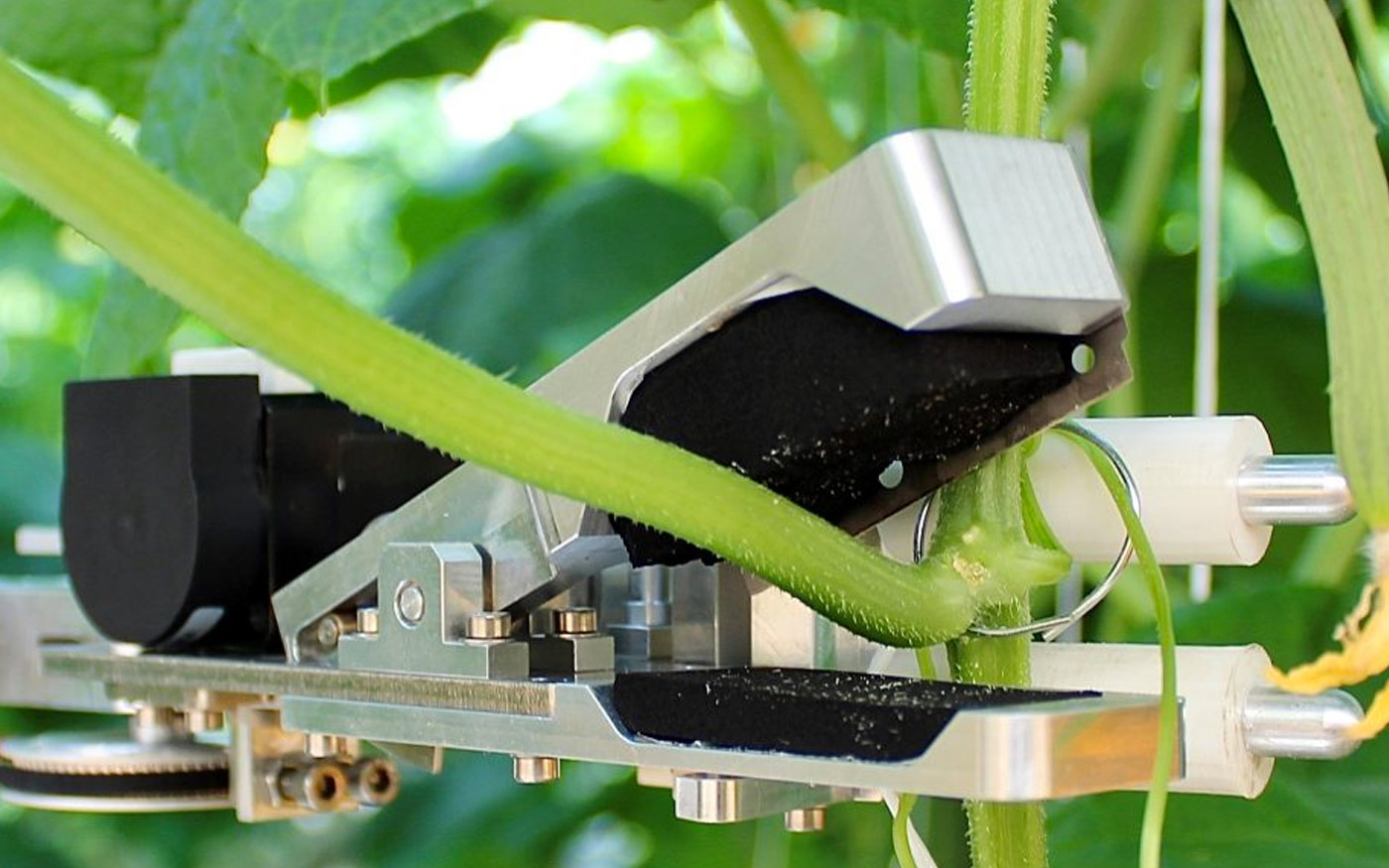 ISO Robot Plug Planting Machine plants small plants with robot arms